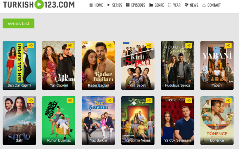 Best 17 Sites to Watch Turkish Series with English Subtitles
